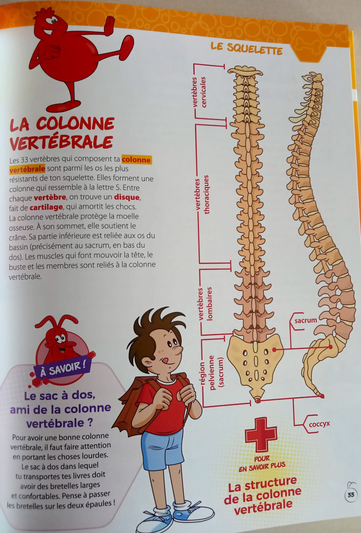 Il était une fois le corps humain > Hachette